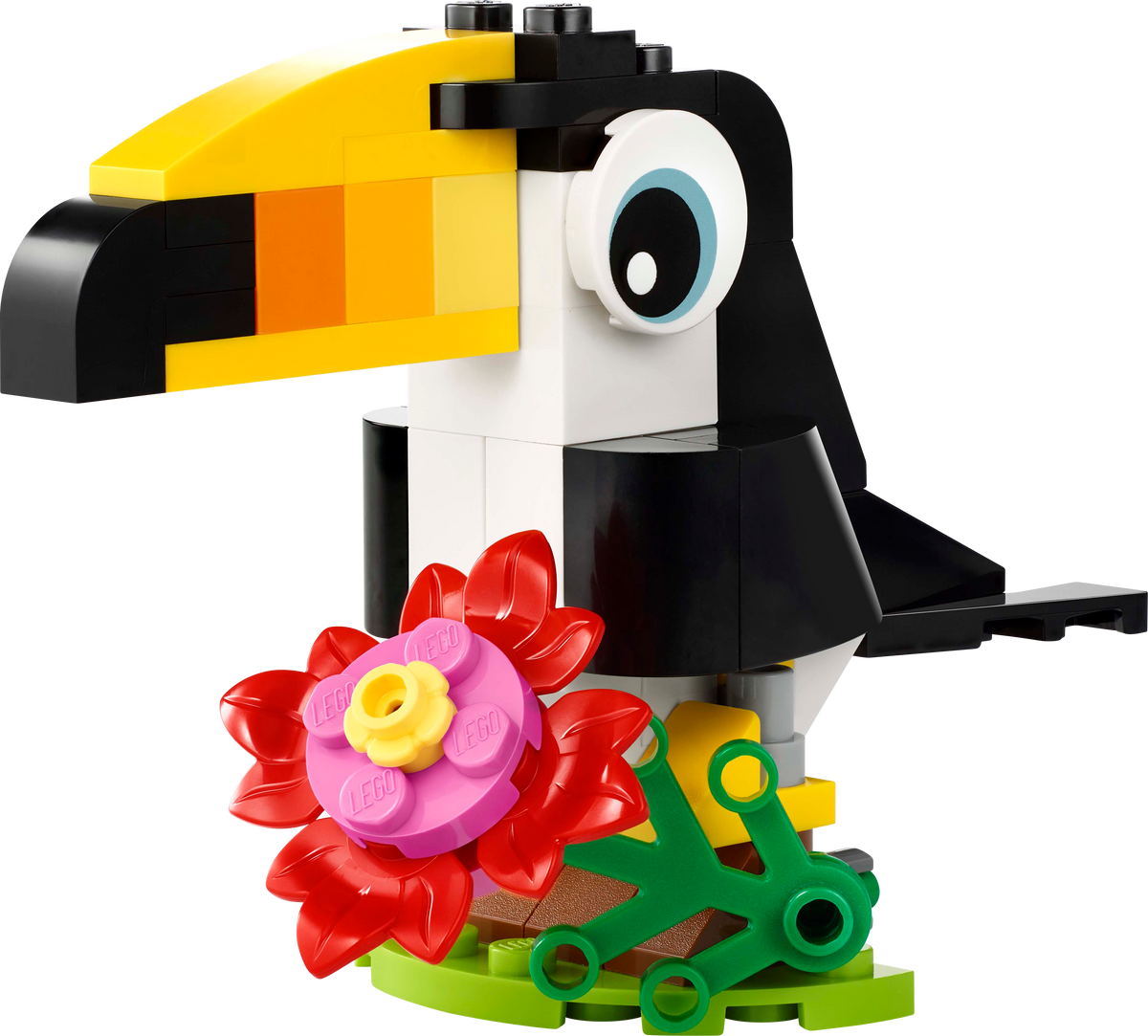 Tropical Toucan – Dreamworld LEGO Store