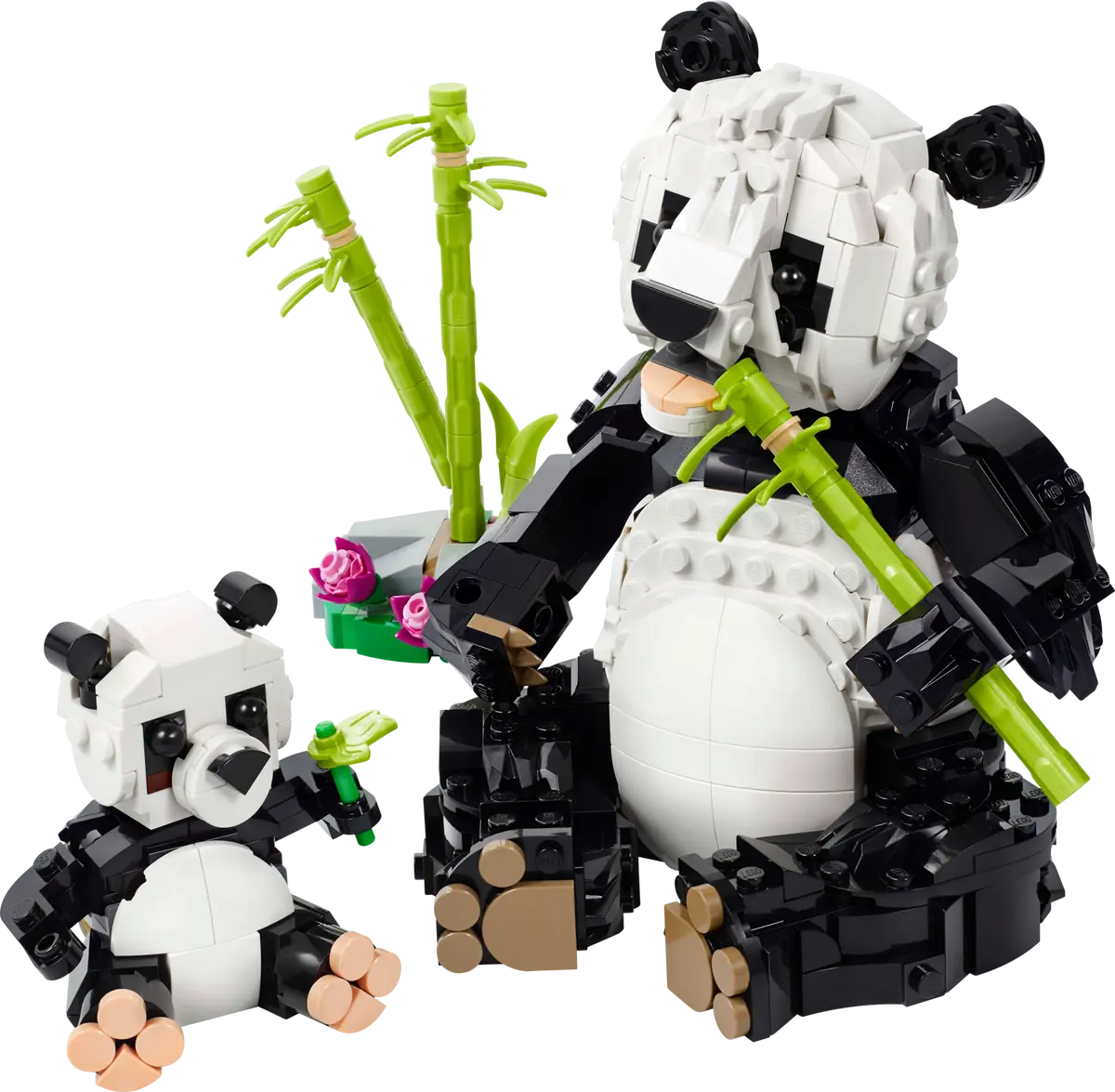 Wild Animals: Panda Family – Dreamworld LEGO Store